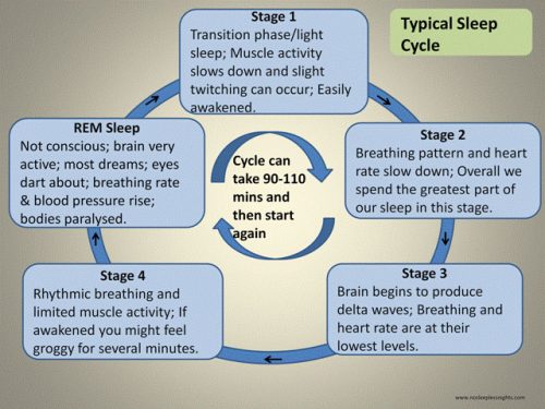 Cycle Of Sleep Sleep Stages Diagram Manual